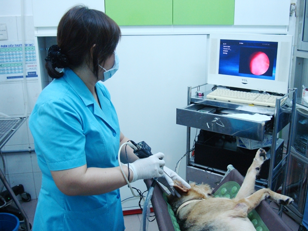 CHẨN ĐOÁN HÌNH ẢNH